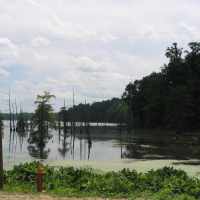 Johnathan Edward Minter, Sr. (1608–1684)