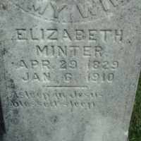 Sarah Elizabeth Hampton (1829–1910) • FamilySearch