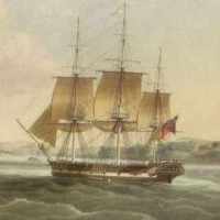 Amy Wyllys (1624–1699)