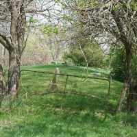 Albert H Root (1842–1859) • FamilySearch