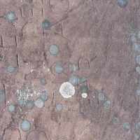 David Ashley Sr (1642–1718)