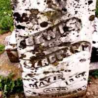 Lewis Sargeant (1831–1861) • FamilySearch