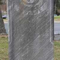 Sarah Elizabeth Culler (1846–1914)