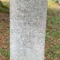 Jesse Young Wilson (1848–1915) • FamilySearch