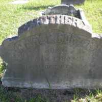 Mary Elizabeth Jenkins (1843–1924)