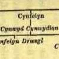 Cynwyd "Cynwydion" ap Cynfelyn (0499–0570)
