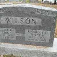 Charles Houston Wilson (1858–1944)
