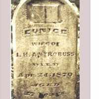 Eunice Howard (1843–1870) • FamilySearch