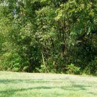 Richard Mynatt (1729–1824)