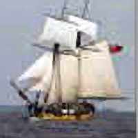 Jane Michall Pellingham (1645–1684)