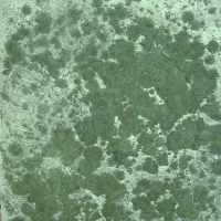 Valentine Beidleman (1755–1836)