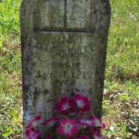 Abraham S Standlee (1810–1882)