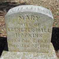 Mary Ann Riggs (1836–1881) • FamilySearch