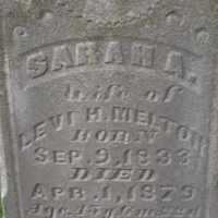 Sarah A Musselman (1833–1879)