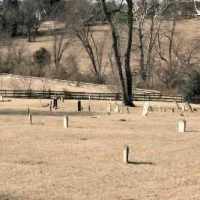 Aliannah Standifer (1747–1827) • FamilySearch