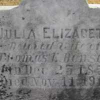 Julia Elizabeth Murphy (1856–1916)