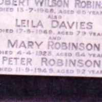 Mary Ann Lawson (1859–1923) • FamilySearch