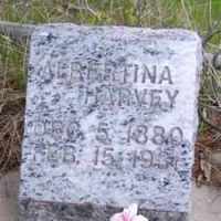 Albertina "Tena" Hobrough (1880–1931)