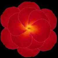 Baudouin de Guines II (1135–1205)