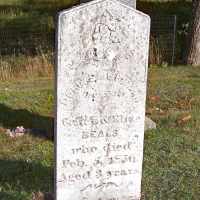 Dorcas Ann Beals (1856–1860) • FamilySearch