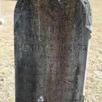 Henry Sanders Reeves (1832–1885)