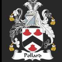 Robert Pollard of Roborough (1429–1465)