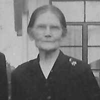 Mary Ann 'Mollie' Jester (1872–1956) • FamilySearch