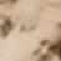 Jennie Louise Ellison (1908–1989) • FamilySearch