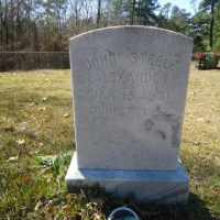 John Steele Alexander (1851–1927)