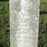 Margaret Teresa Donnellan (1850–1918) • FamilySearch