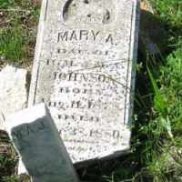 Mary Ann Johnson (1878–1880) • FamilySearch