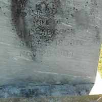 Sarah Elizabeth McFarland (1850–1930) • FamilySearch