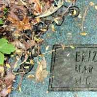 Elizabeth Ann Tilson (1862–1930)