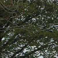 James Benson (1828–1862)