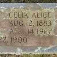 Celia Alice Venable (1883–1967)