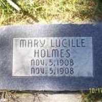 Mary Lucille Holmes (1908–1908)