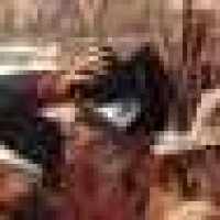 Nathaniel Lewis (1740–1817)