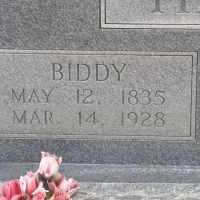 Bridget Ann Waters (1835–1928)