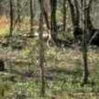 Benjamin Cutbirth Sr (1740–1817)