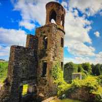 Lady Joan FitzGerald Countess of Kildare (1430–1486)