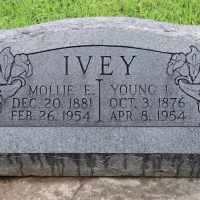 Young Isaiah Ivey (1879–1954) • FamilySearch