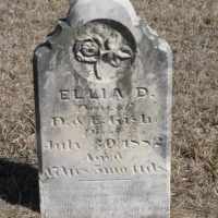 Ella Dora Gish (1864–1882) • FamilySearch
