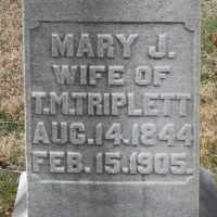 Mary Jane Mortimore (1844–1905)