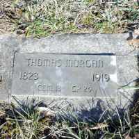 Thomas Morgan (1823–1920)
