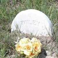 Wiley Carson (1871–1879) • FamilySearch
