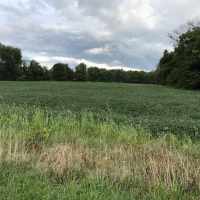 Benjamin Morlan (1776–1851)