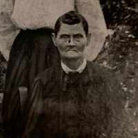 Sarah Jane "Jennie" Shelton (1850–1928) • FamilySearch