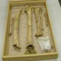 Colonel Joseph Bridger (1627–1686)