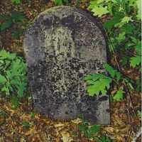 William Harman Lester (1813–1897) • FamilySearch