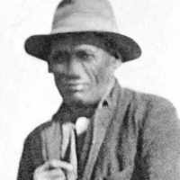 Hetaraka Awarau Henare (1881–1943)